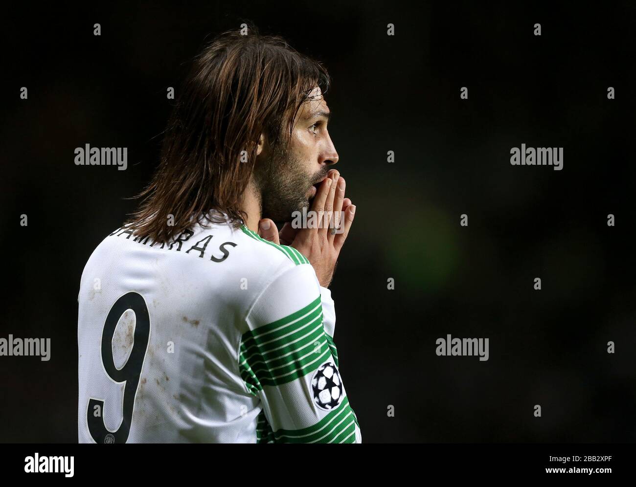 Samaras celtic hi-res stock photography and images - Alamy