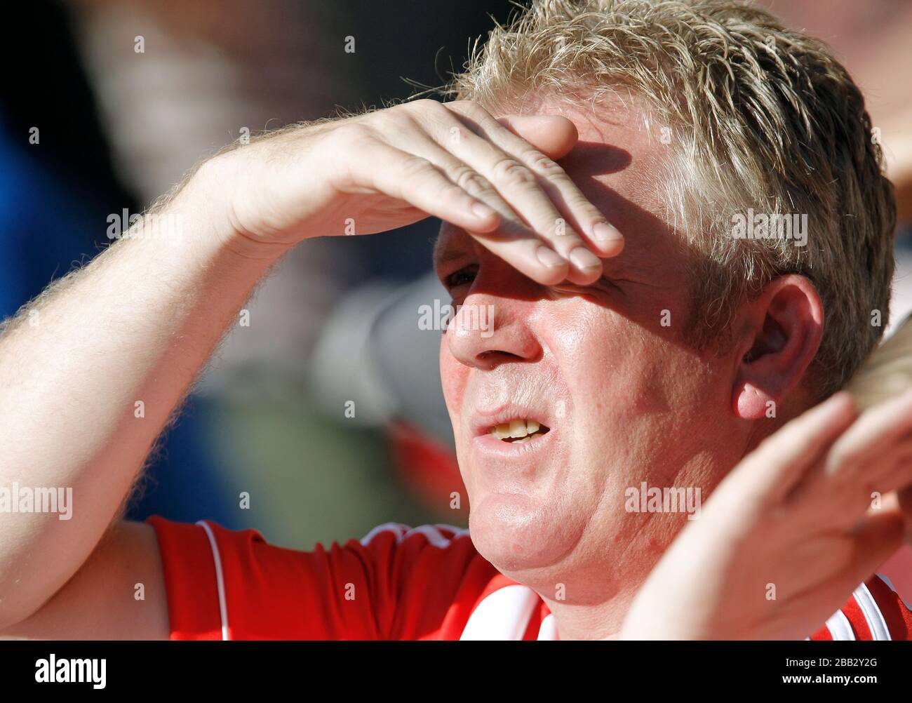 A fan in the stands Stock Photo - Alamy