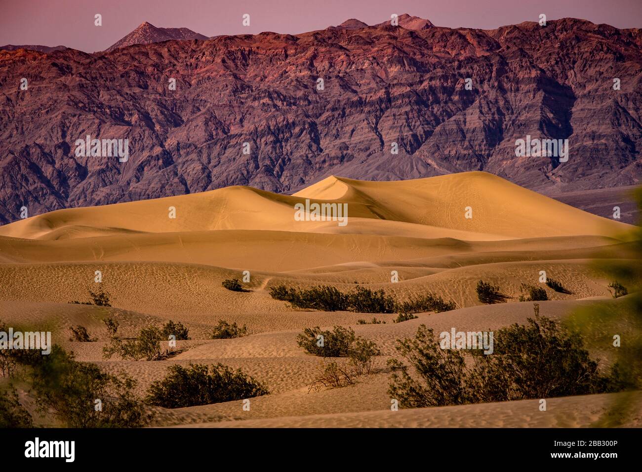 desert in death valley national park, california, united states Stock ...