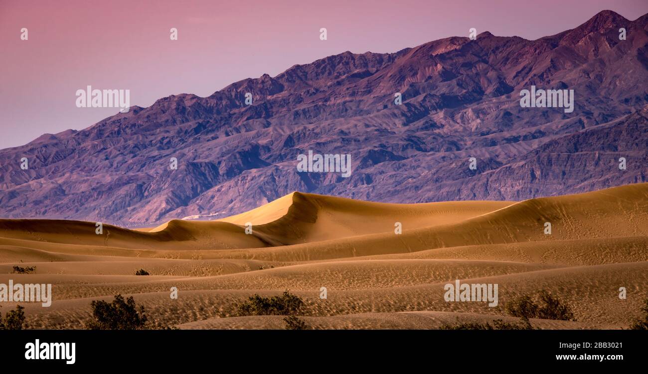 desert in death valley national park, california, united states Stock ...