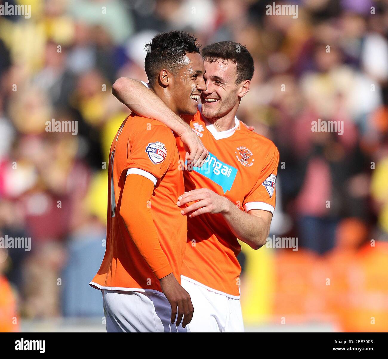 Blackpool's Tom Ince celebrates scoring against and Watford with team ...