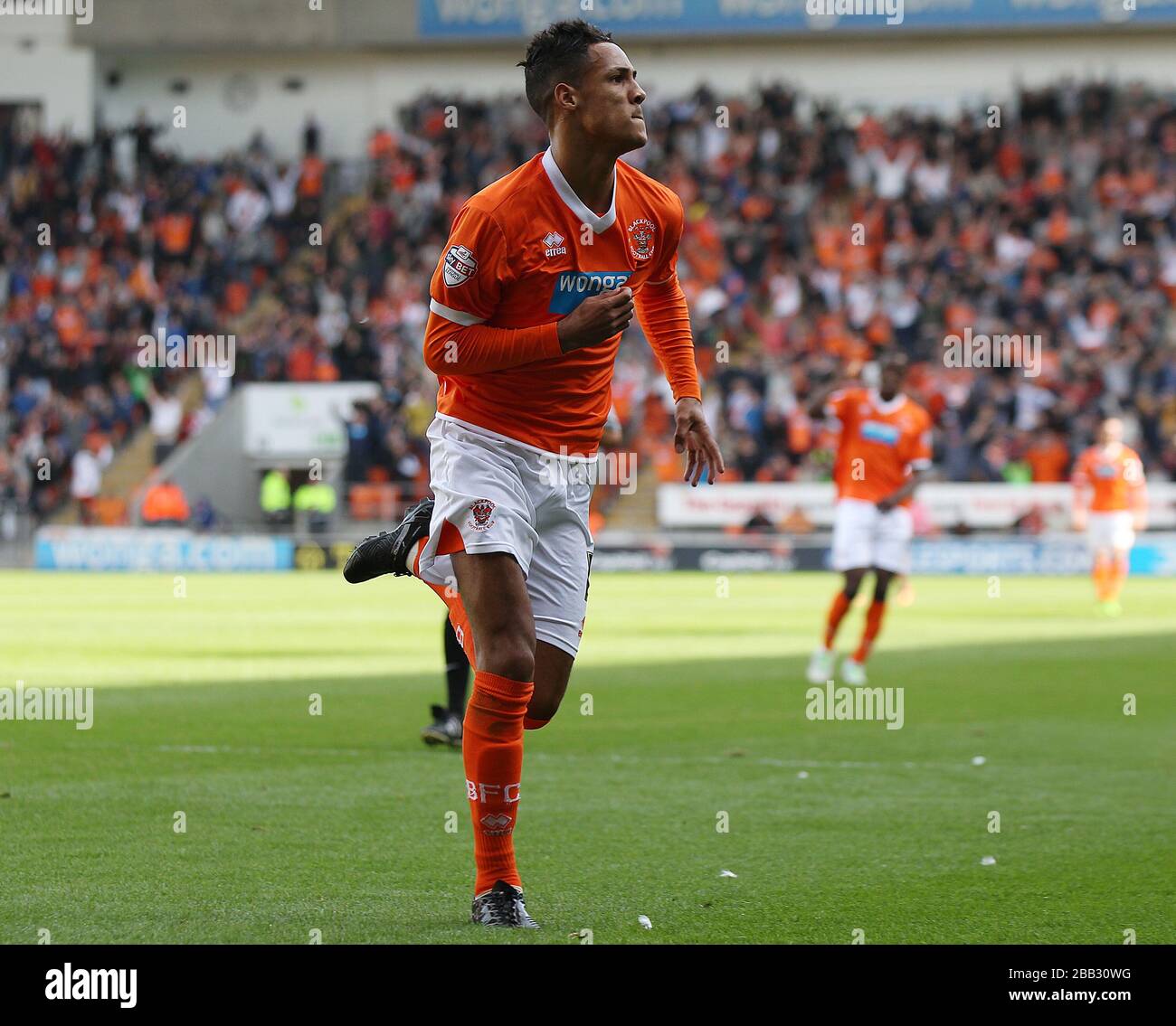 Blackpool's Tom Ince celebrates scoring against and Watford Stock Photo ...