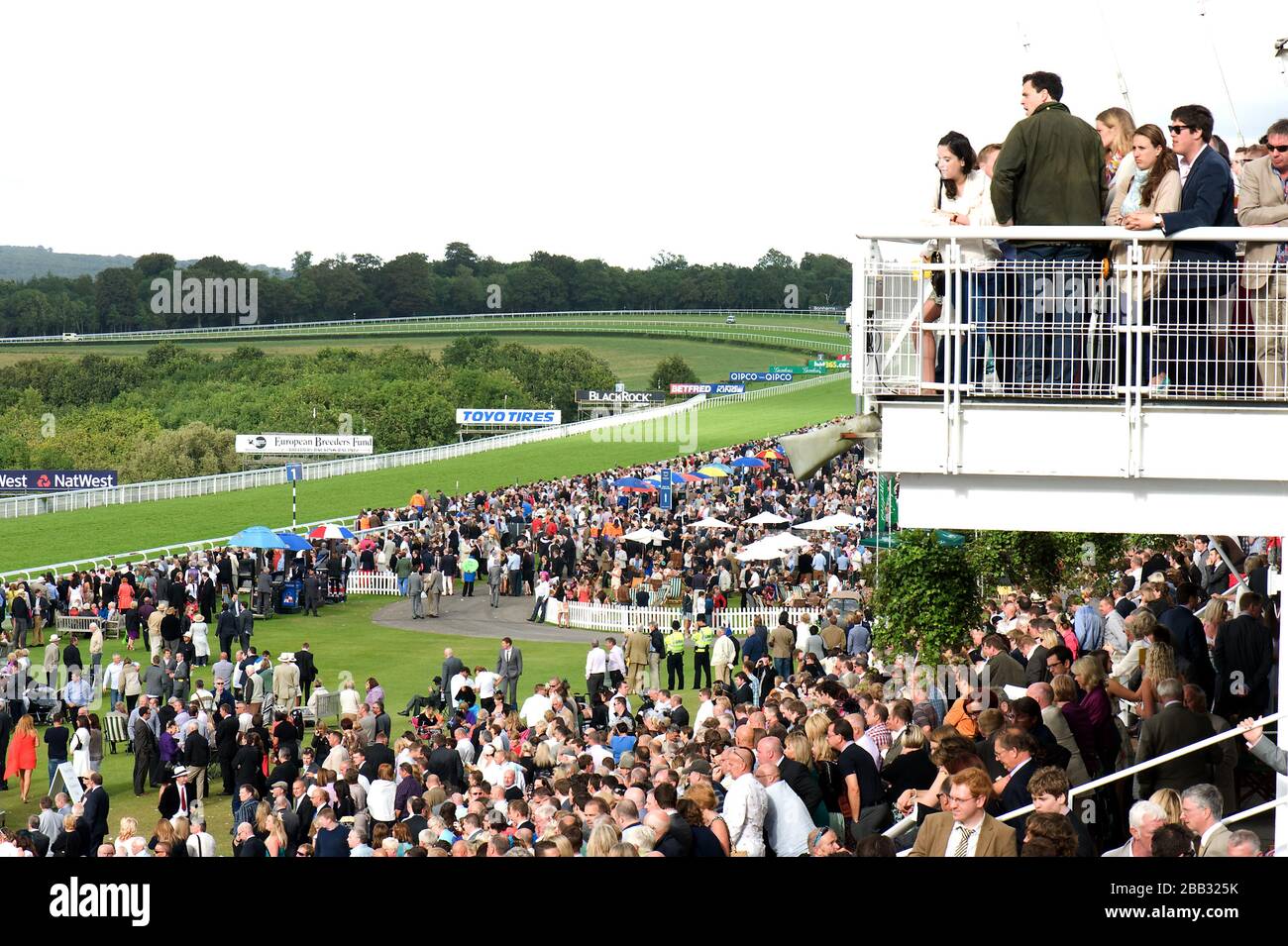 Racegoers watch the action at Goodwood Racecourse Stock Photo - Alamy