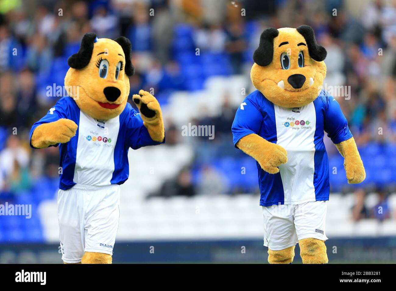 Birmingham City mascots Beau Brummie (right) and Belle Brummie (left ...