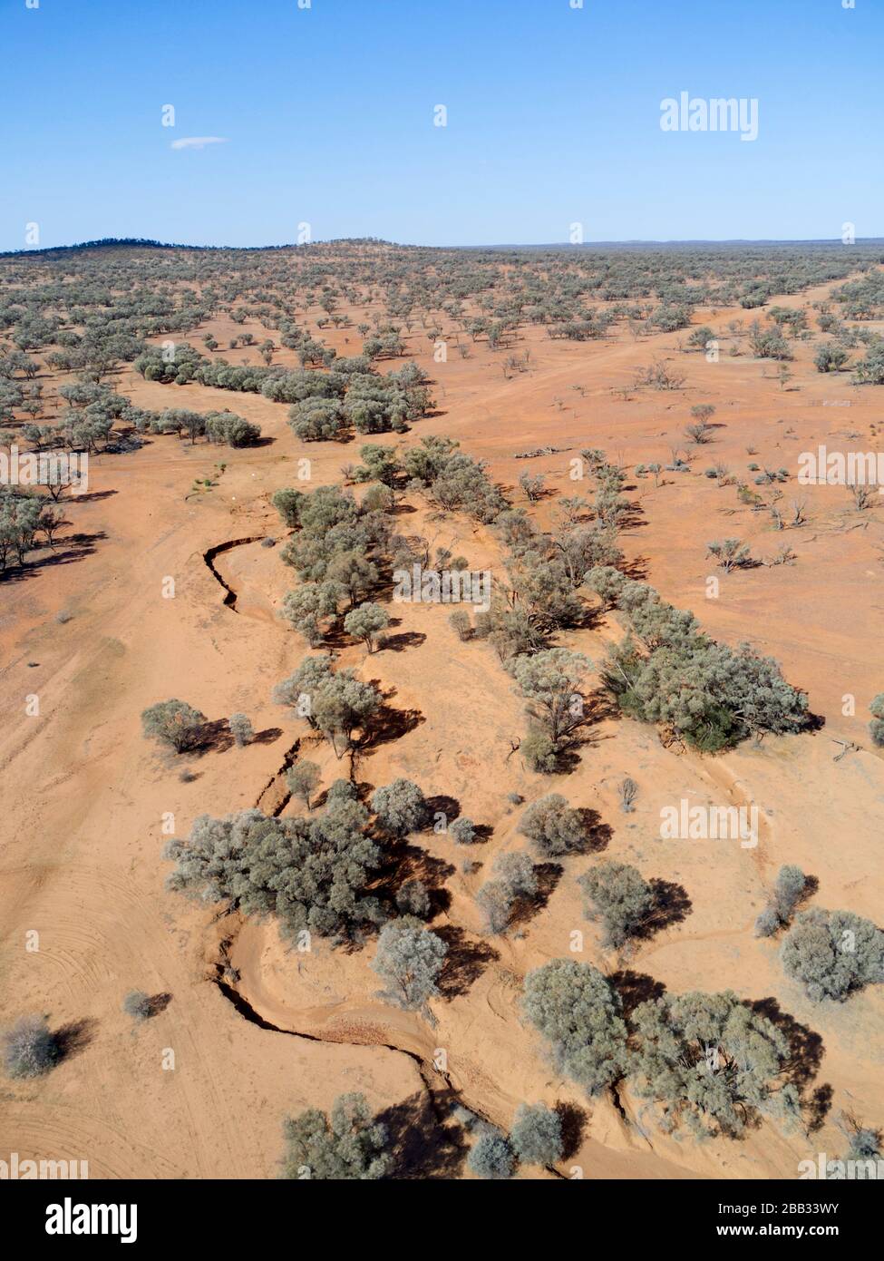 Trees and scrubs indicate the presence of water in a very arid ...