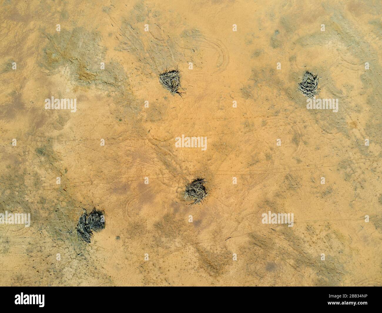 Aerial of land clearing in progress. All the trees scrubs have been ...