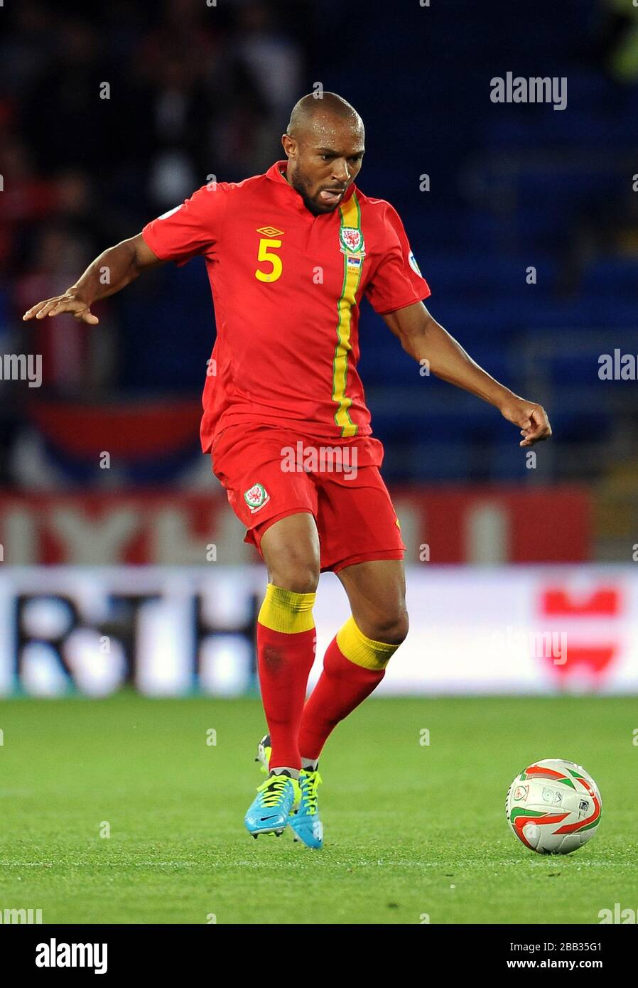 Daniel Gabbidon, Wales Stock Photo - Alamy