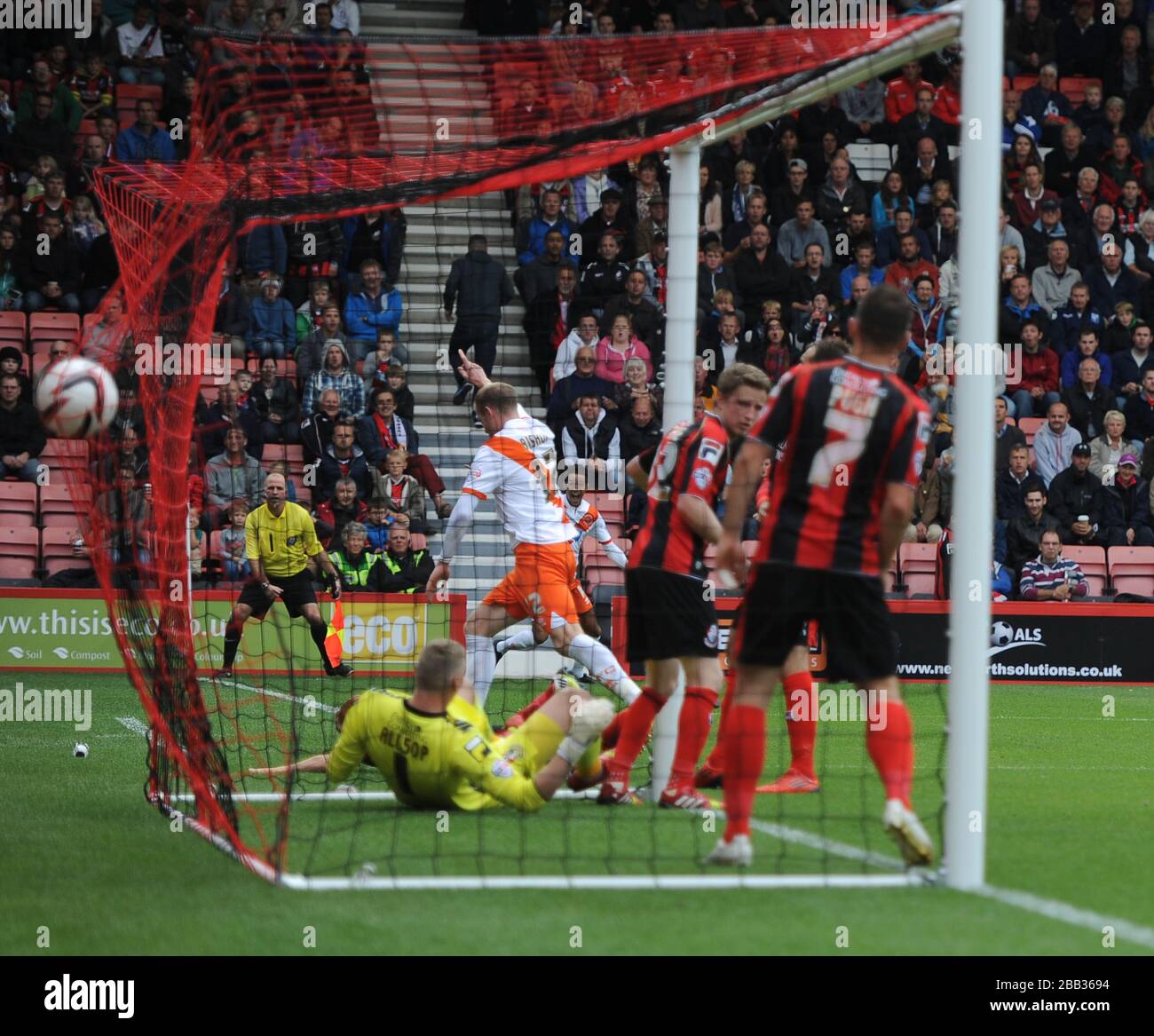 Blackpool's Neal Bishop runs away to celebrate scoring his side's ...