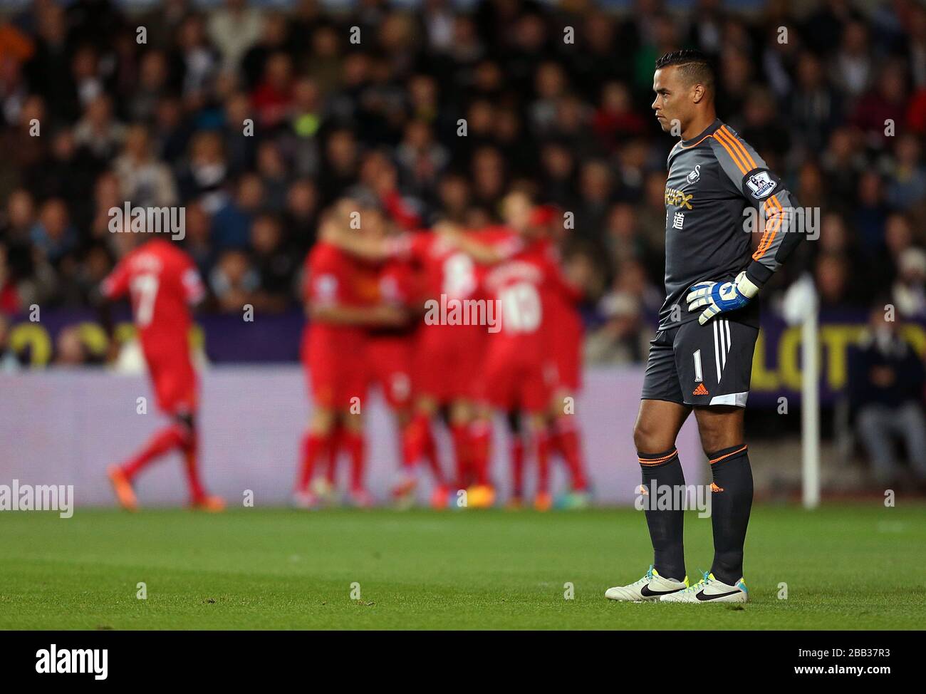 Swansea City goalkeeper Michel Vorm looks on after Liverpool's Daniel ...