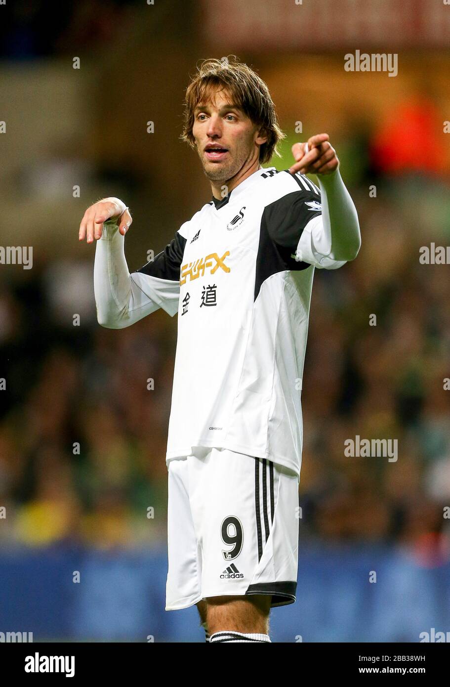 Michu swansea hi-res stock photography and images - Alamy