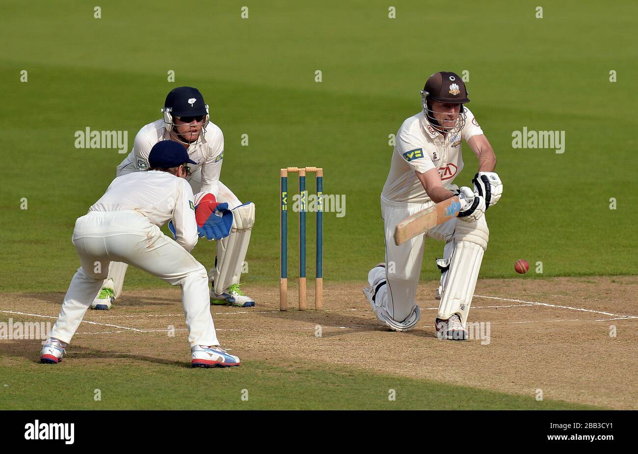 Surrey's Tim Linley Stock Photo - Alamy