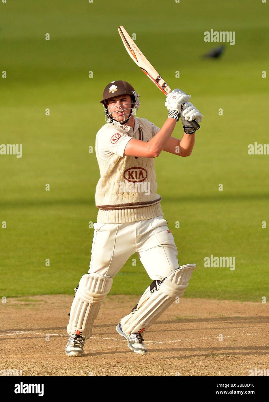 Sibley surrey hi-res stock photography and images - Alamy