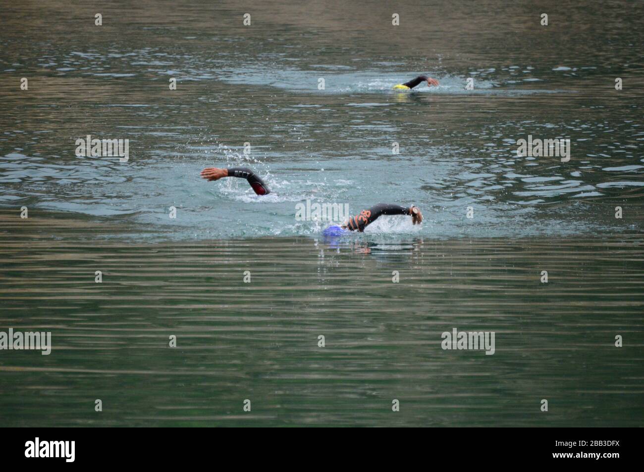 Triathletes swimming in a triathlon trial Stock Photo - Alamy