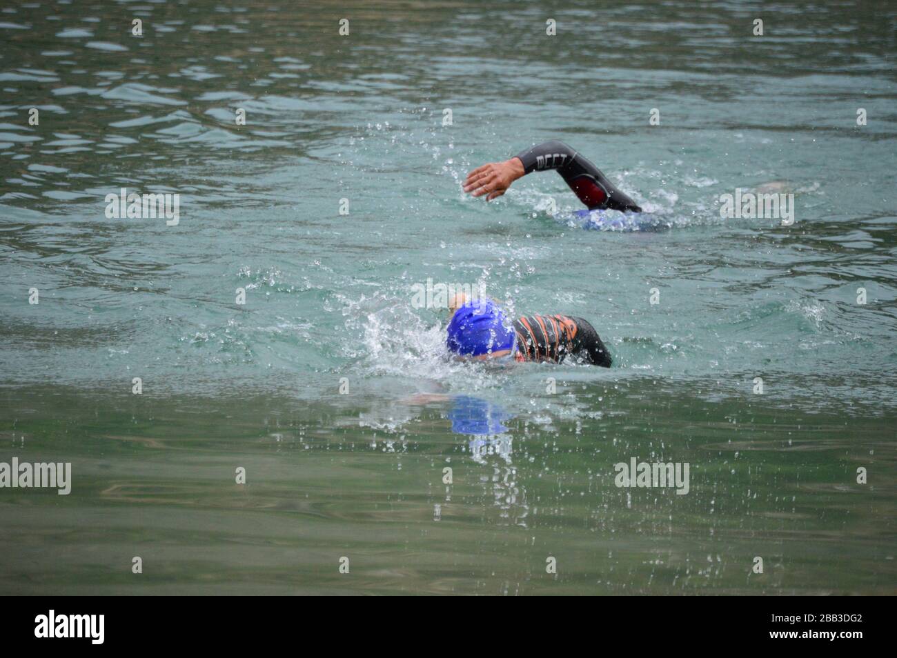 Triathletes swimming in a swamp in a triathlon trail Stock Photo - Alamy