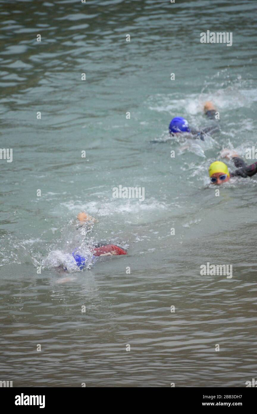 Triathletes swimming in a swamp in a triathlon Stock Photo - Alamy