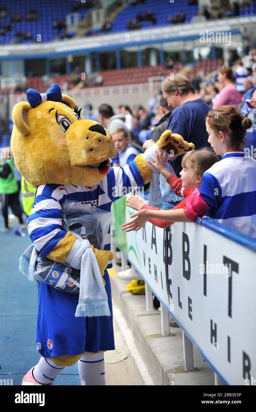 Reading mascot hi-res stock photography and images - Alamy