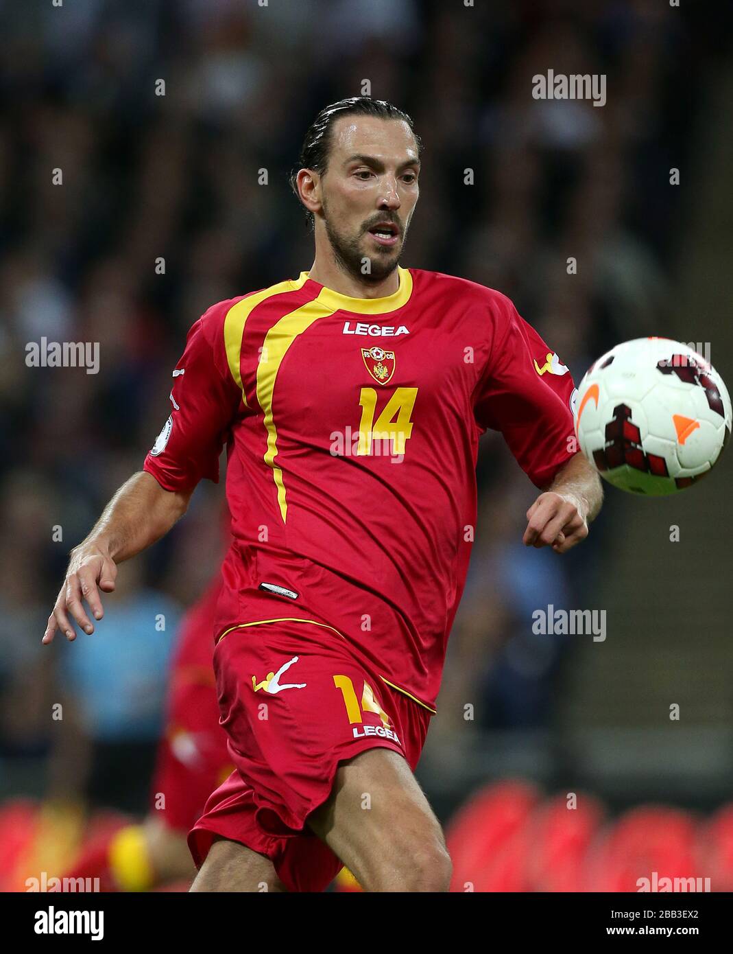 Damjanovic hi-res stock photography and images - Alamy