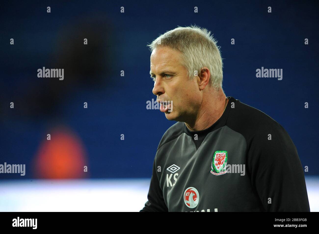 Wales football kit symons hi-res stock photography and images - Alamy