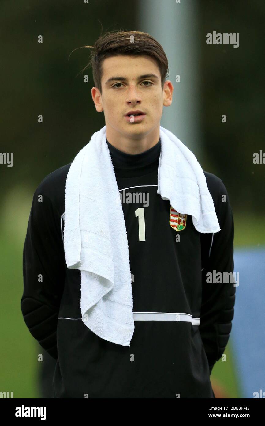 Daniel horvath hi-res stock photography and images - Alamy