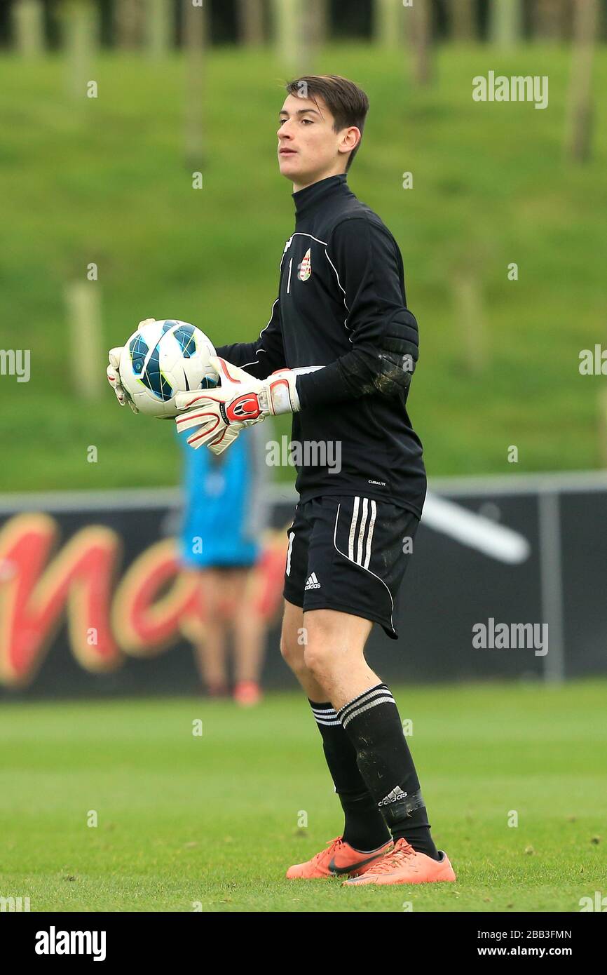 Daniel horvath hi-res stock photography and images - Alamy