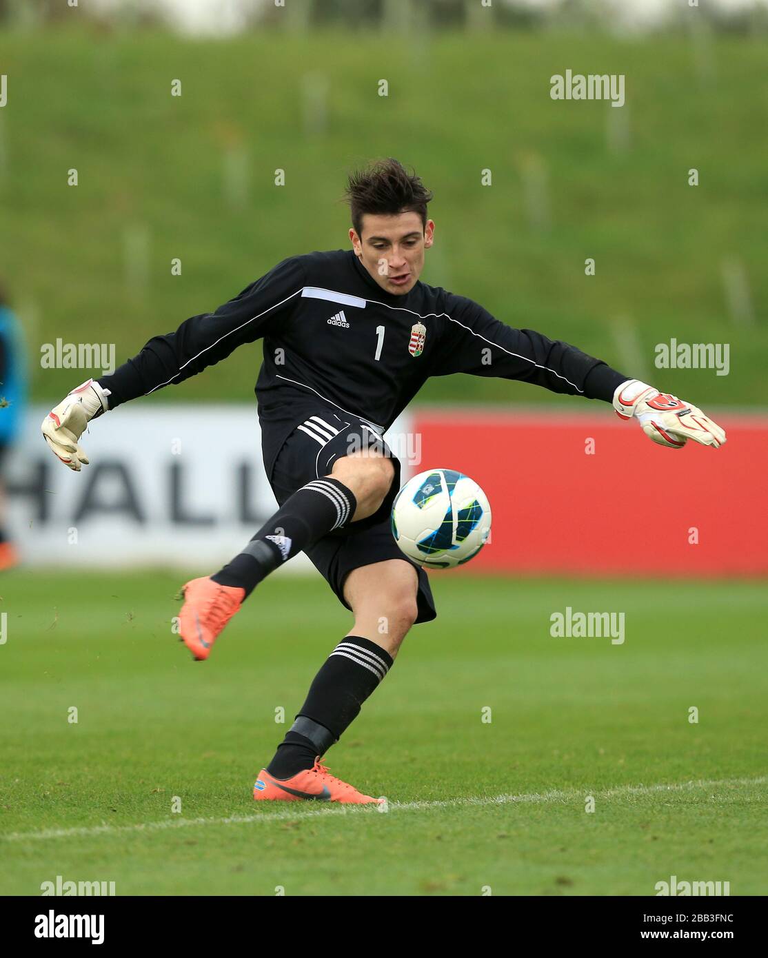 Daniel Horvath High Resolution Stock Photography and Images - Alamy