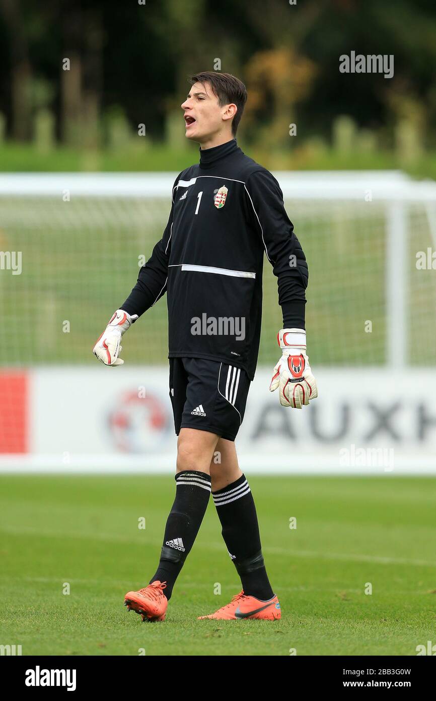 Horvath daniel hi-res stock photography and images - Alamy