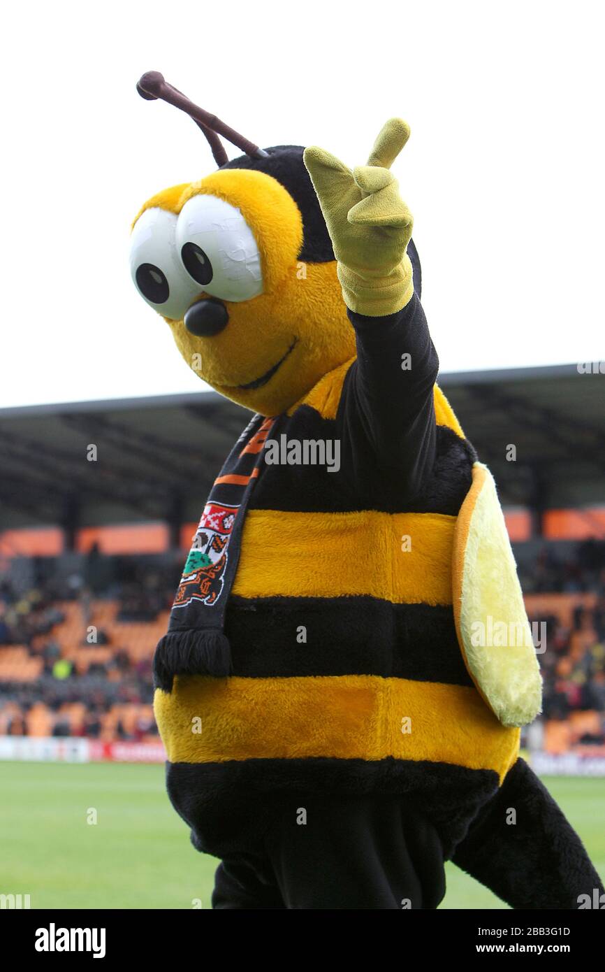 Mr bumble hi-res stock photography and images - Alamy