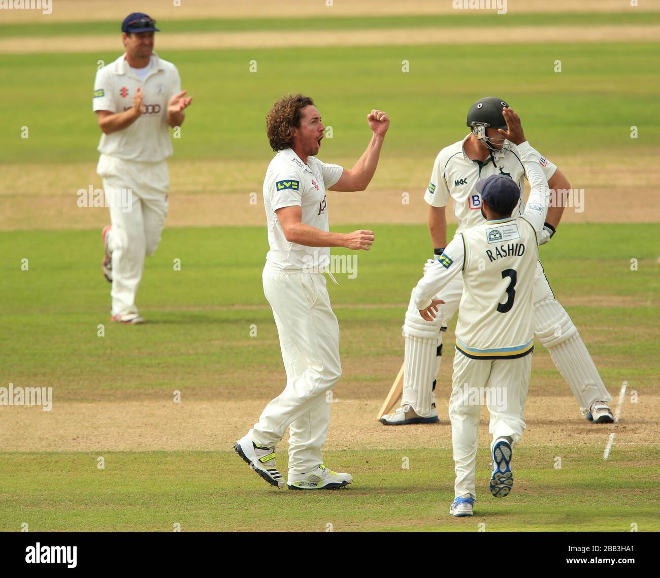 Yorkshire's Ryan Sidebottom celebrates taking the wicket of ...