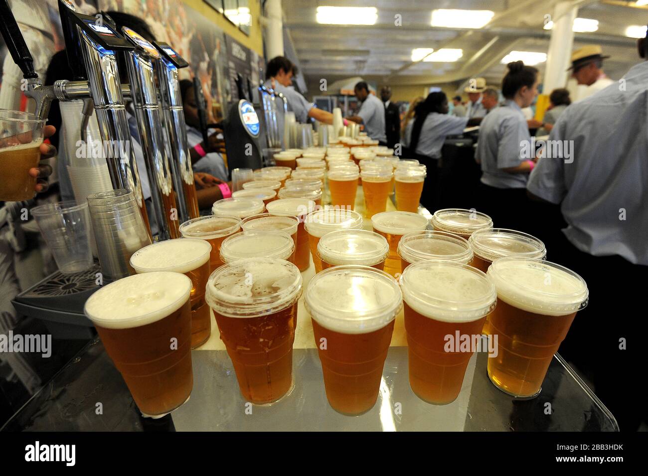 Beer is poured ready to be served to cricket fans at the Kia Oval Stock ...