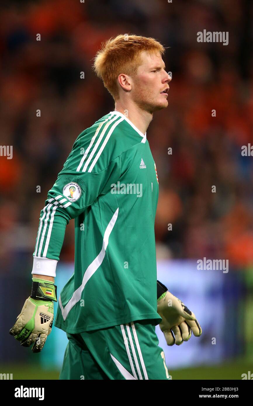 Hungary goalkeeper Adam Bogdan Stock Photo - Alamy