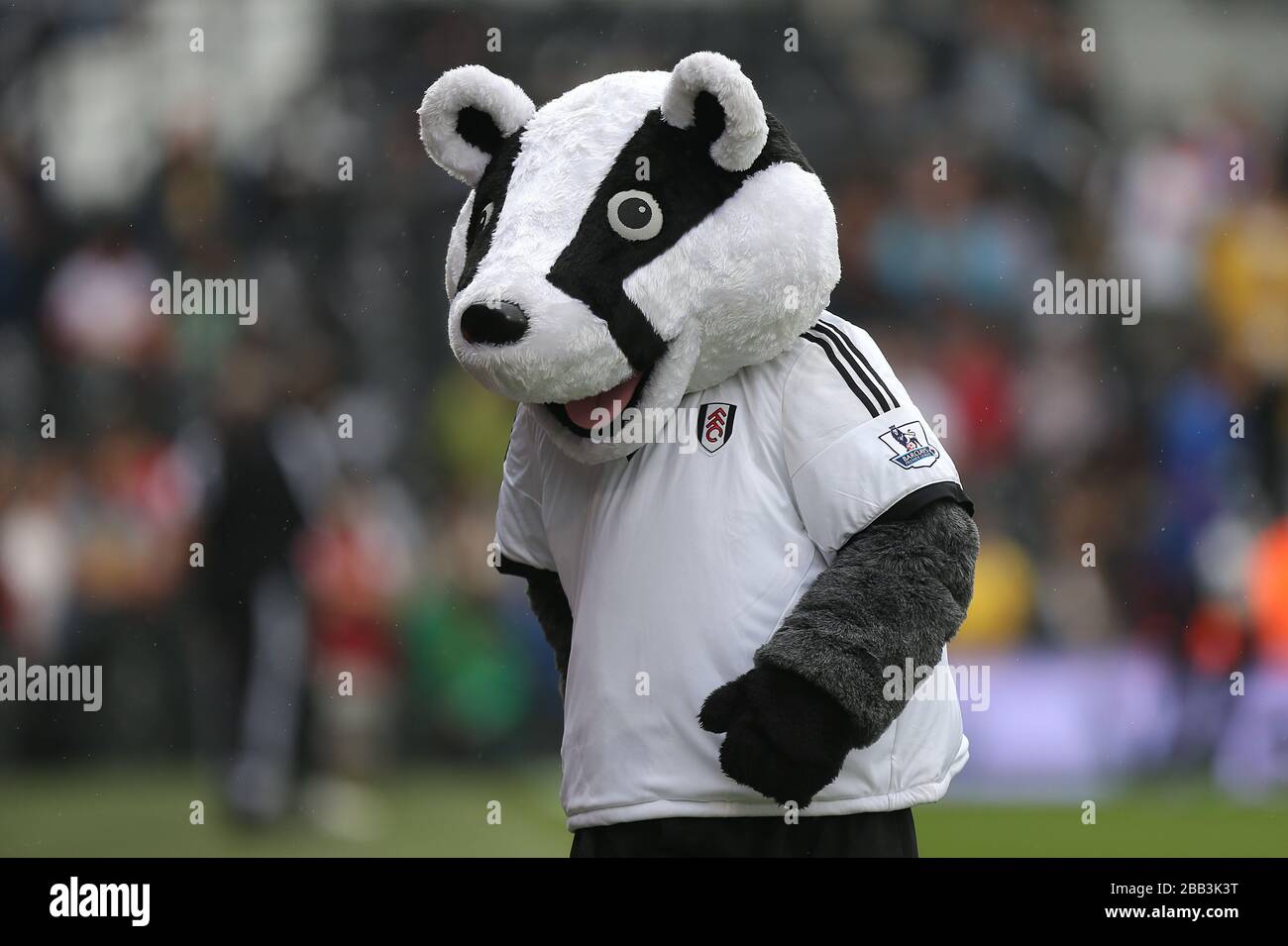 Billy the Badger, Fulham mascot Stock Photo - Alamy