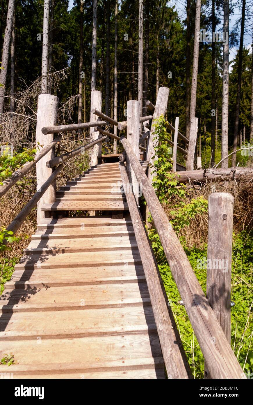 Eifel hiking trail hi-res stock photography and images - Alamy