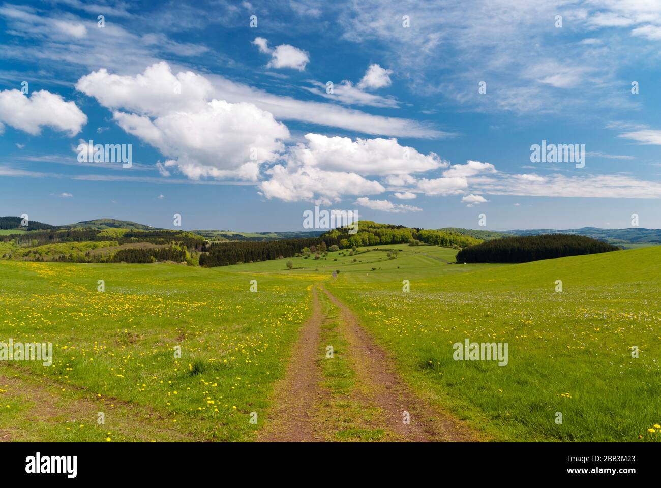 On the Hiking Trail Eifelsteig in the Eifel, Germany Stock Photo - Alamy
