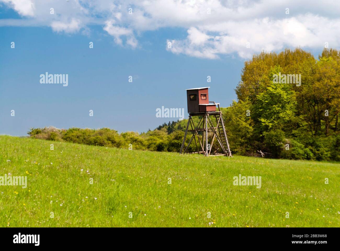 On the Hiking Trail Eifelsteig in the Eifel, Germany Stock Photo - Alamy
