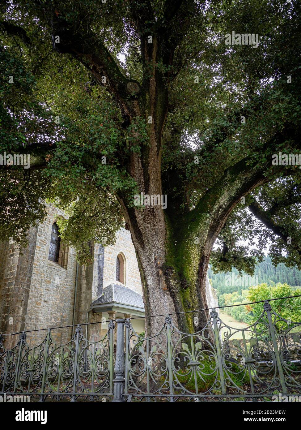 Santuario de la encina hi-res stock photography and images - Alamy
