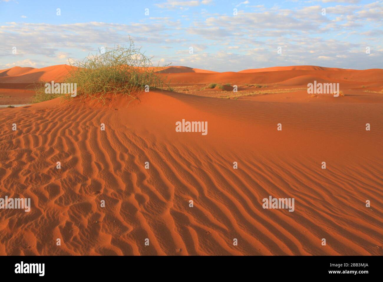 Africa - Dunes Stock Photo - Alamy