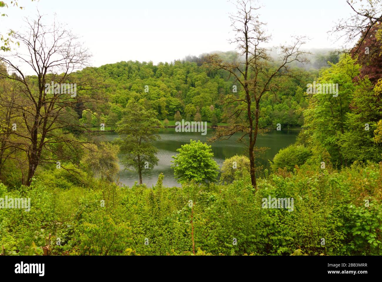 On the Hiking Trail Eifelsteig in the Eifel, Germany Stock Photo - Alamy