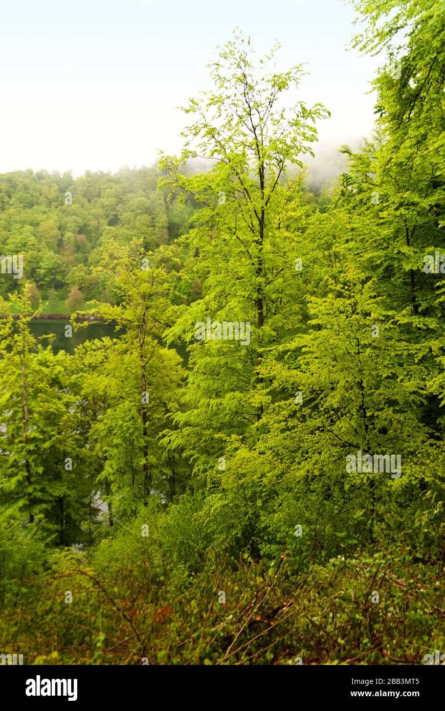 On the Hiking Trail Eifelsteig in the Eifel, Germany Stock Photo - Alamy