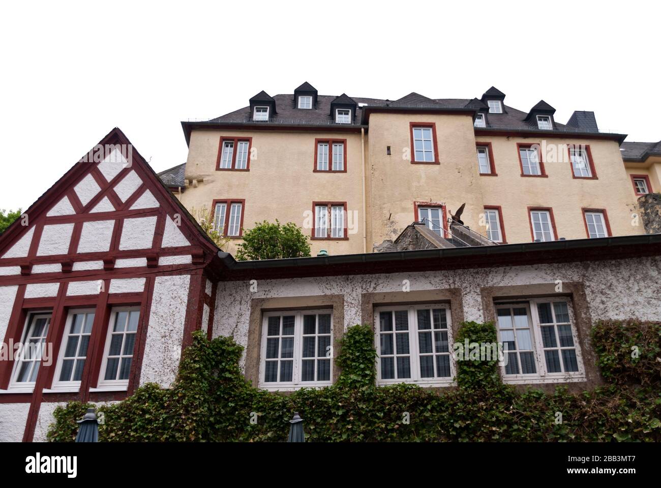 Daun germany hi-res stock photography and images - Alamy