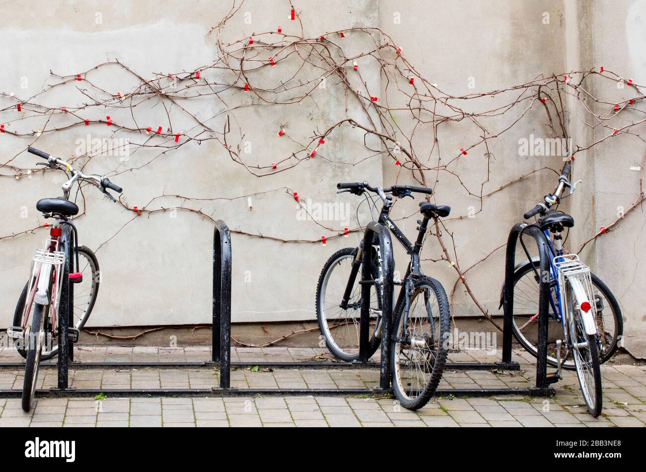 Bikes in bike rack, London Stock Photo - Alamy