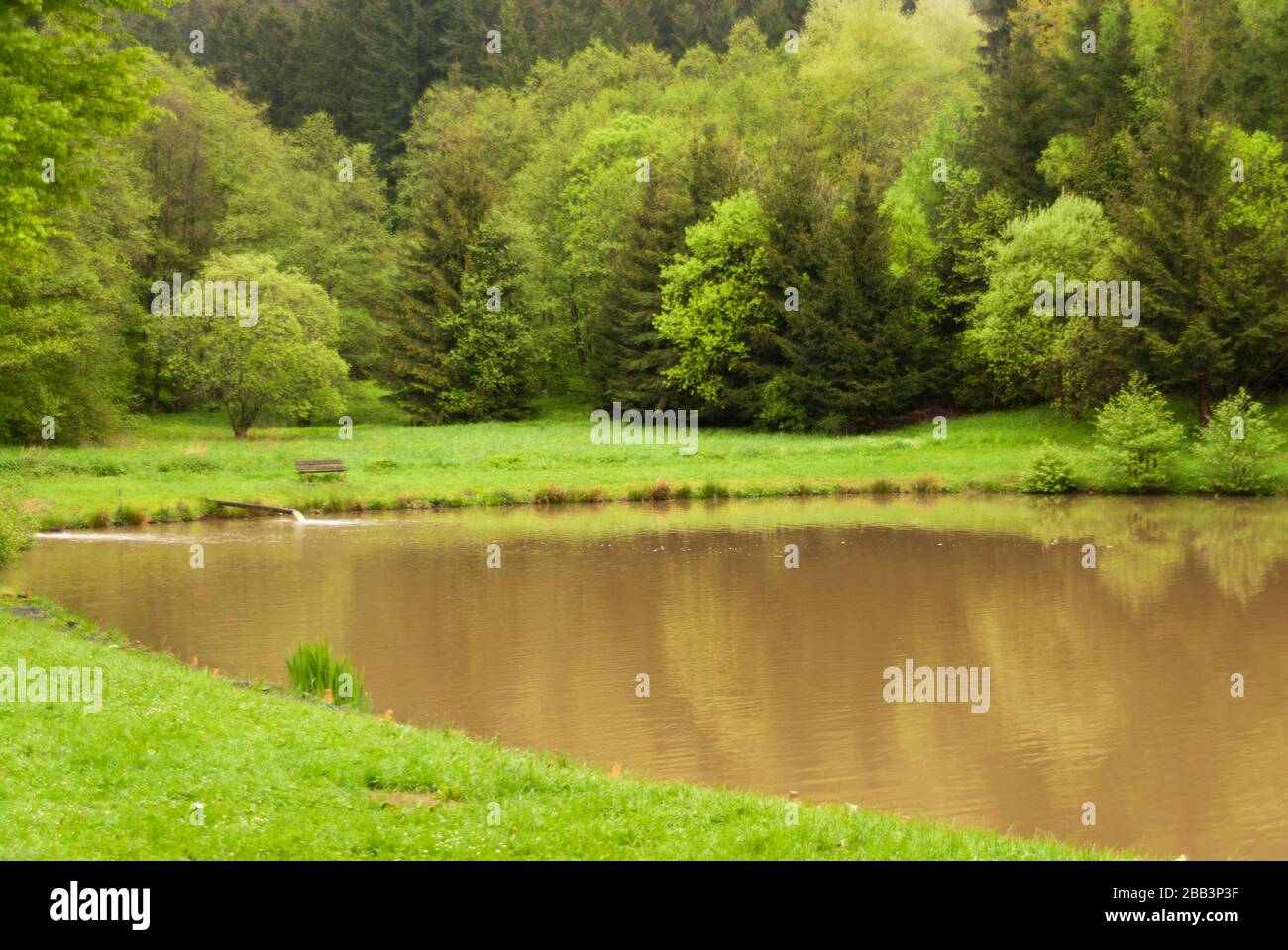 On the Hiking Trail Eifelsteig in the Eifel, Germany Stock Photo - Alamy