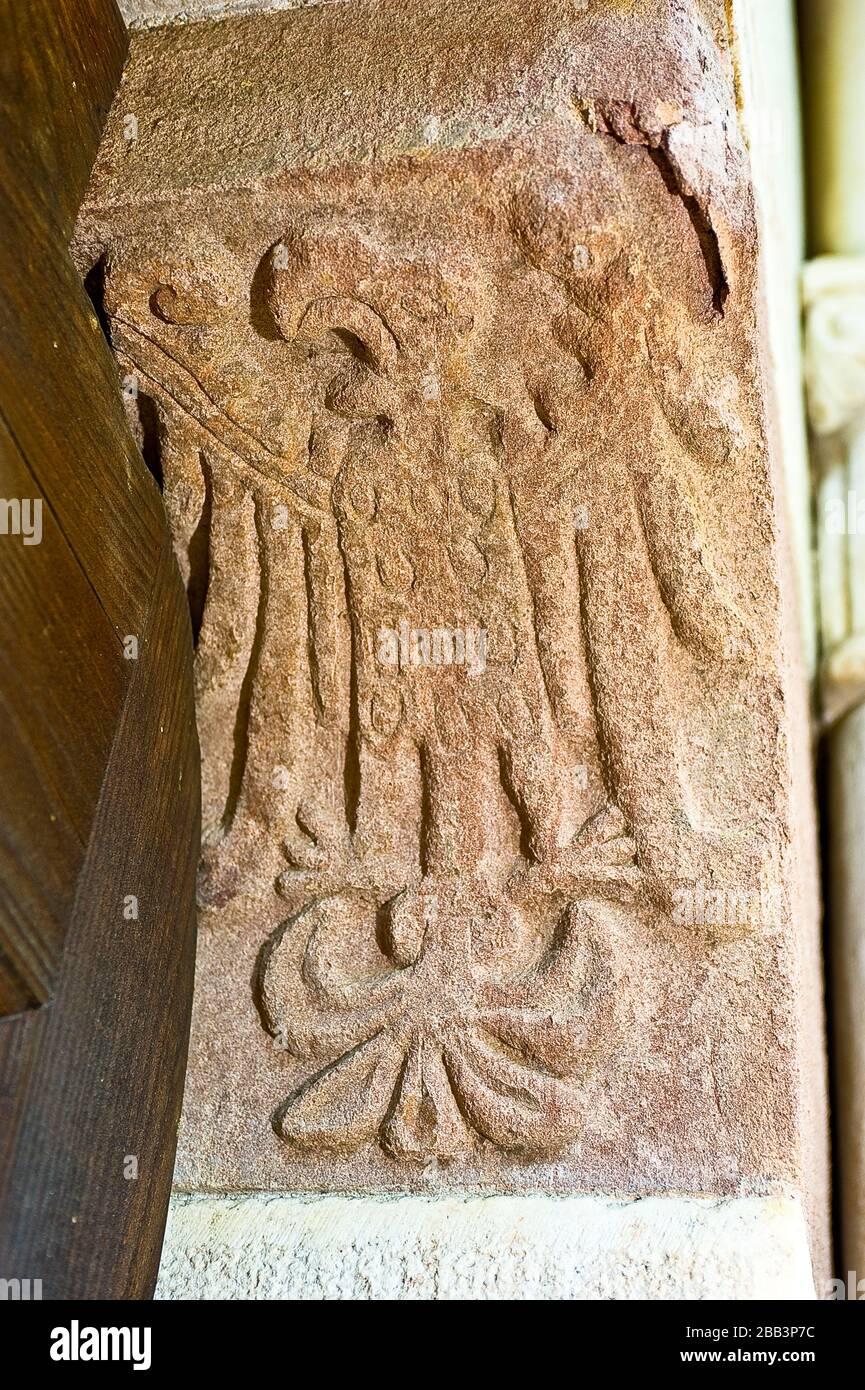 Aquila asburgica hi-res stock photography and images - Alamy