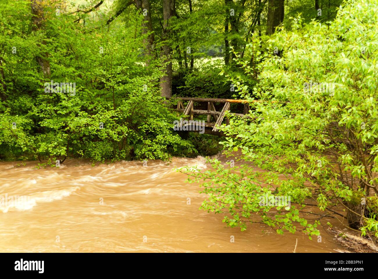 On the Hiking Trail Eifelsteig in the Eifel, Germany Stock Photo - Alamy