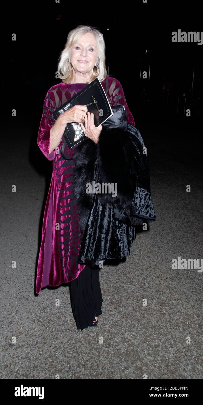 Liz brewer hi-res stock photography and images - Alamy