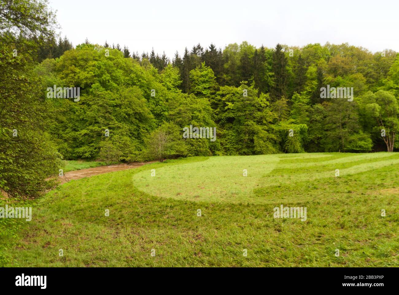 On the Hiking Trail Eifelsteig in the Eifel, Germany Stock Photo - Alamy