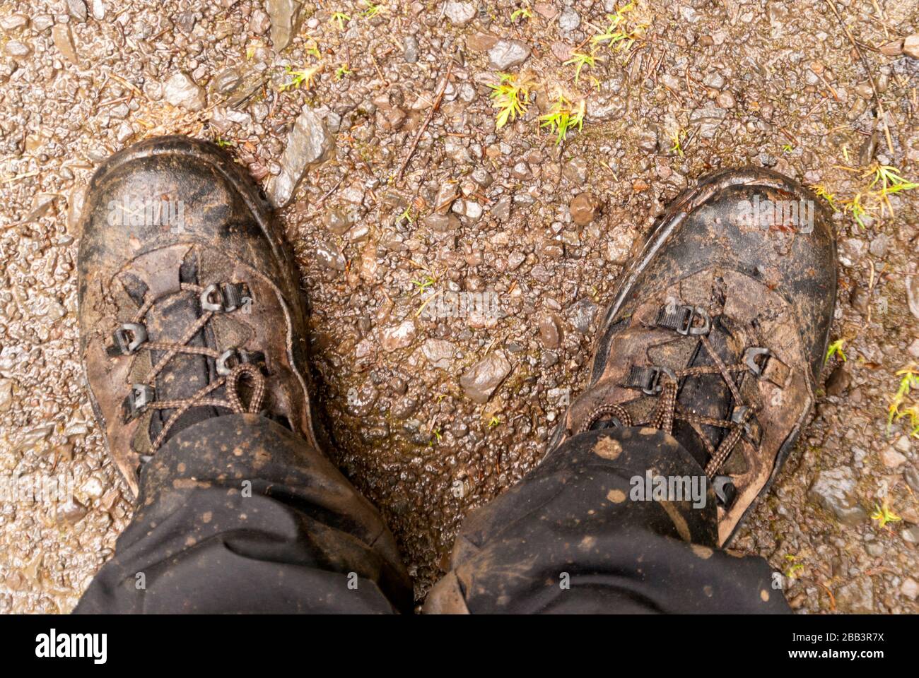 Hiking Boots with Mud on a Trail Stock Photo - Alamy