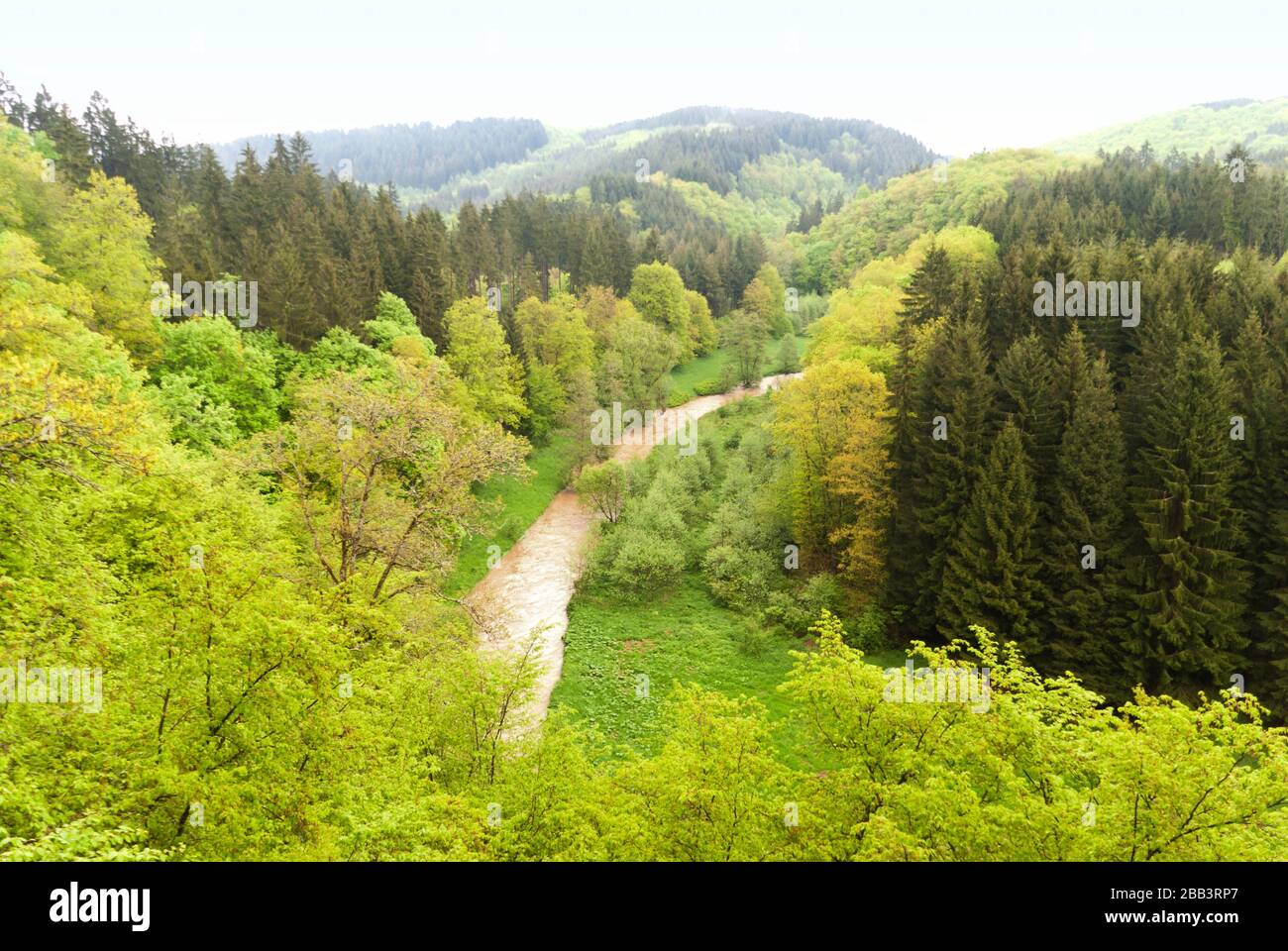 On the Hiking Trail Eifelsteig in the Eifel, Germany Stock Photo - Alamy