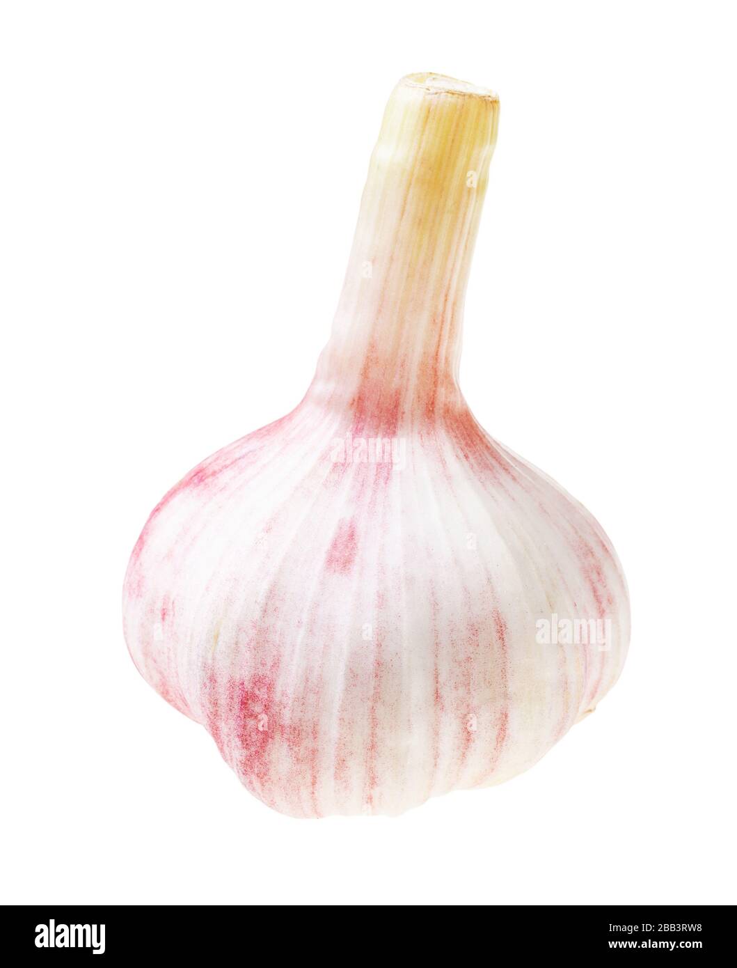 single bulb of fresh young garlic isolated on white background Stock ...