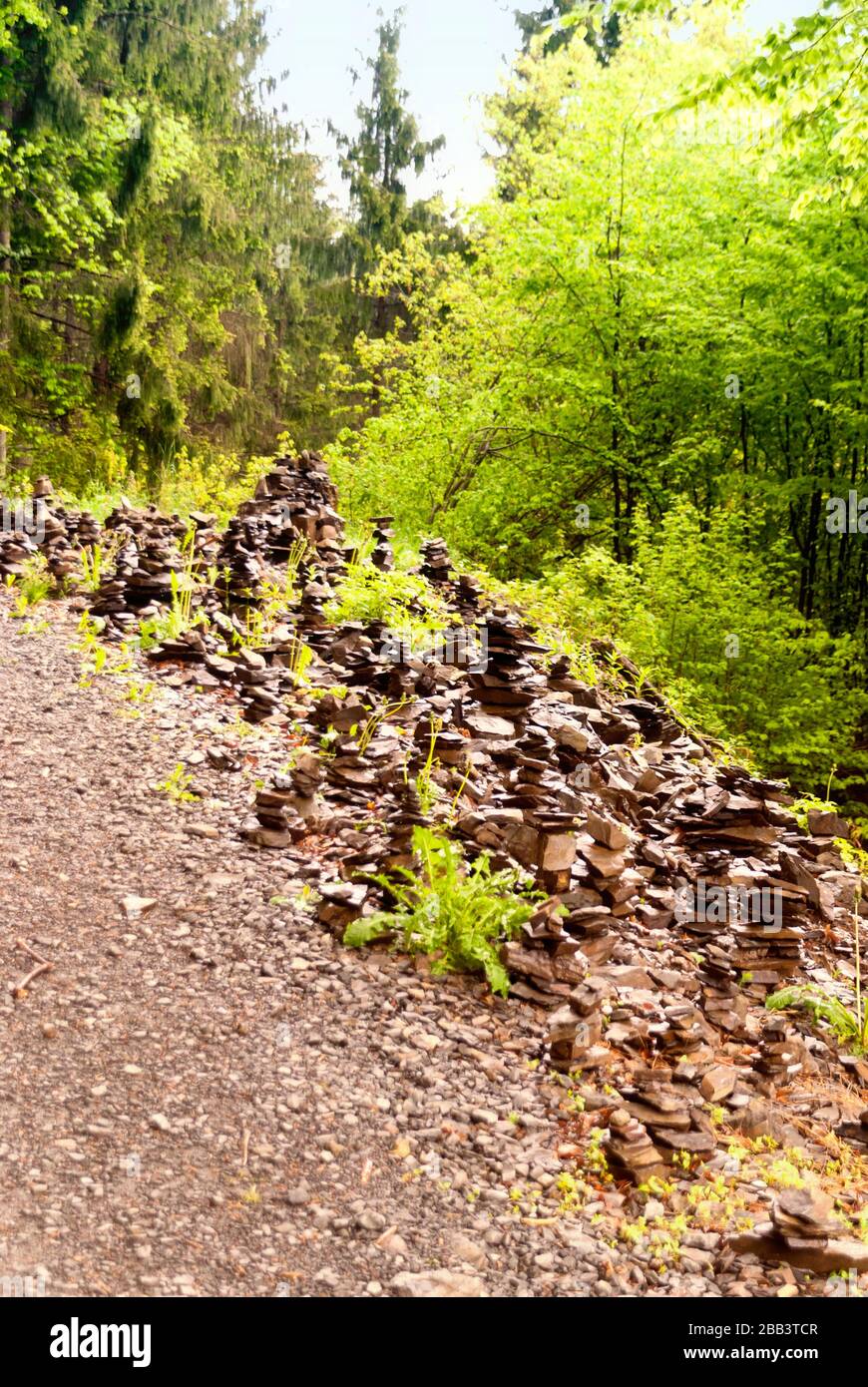 On the Hiking Trail Eifelsteig in the Eifel, Germany Stock Photo - Alamy