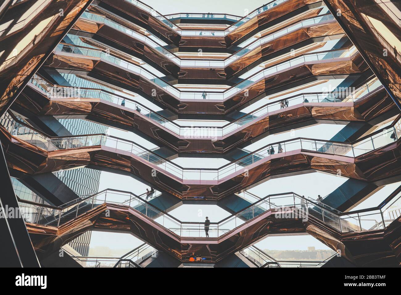 Vessel structure hi-res stock photography and images - Alamy